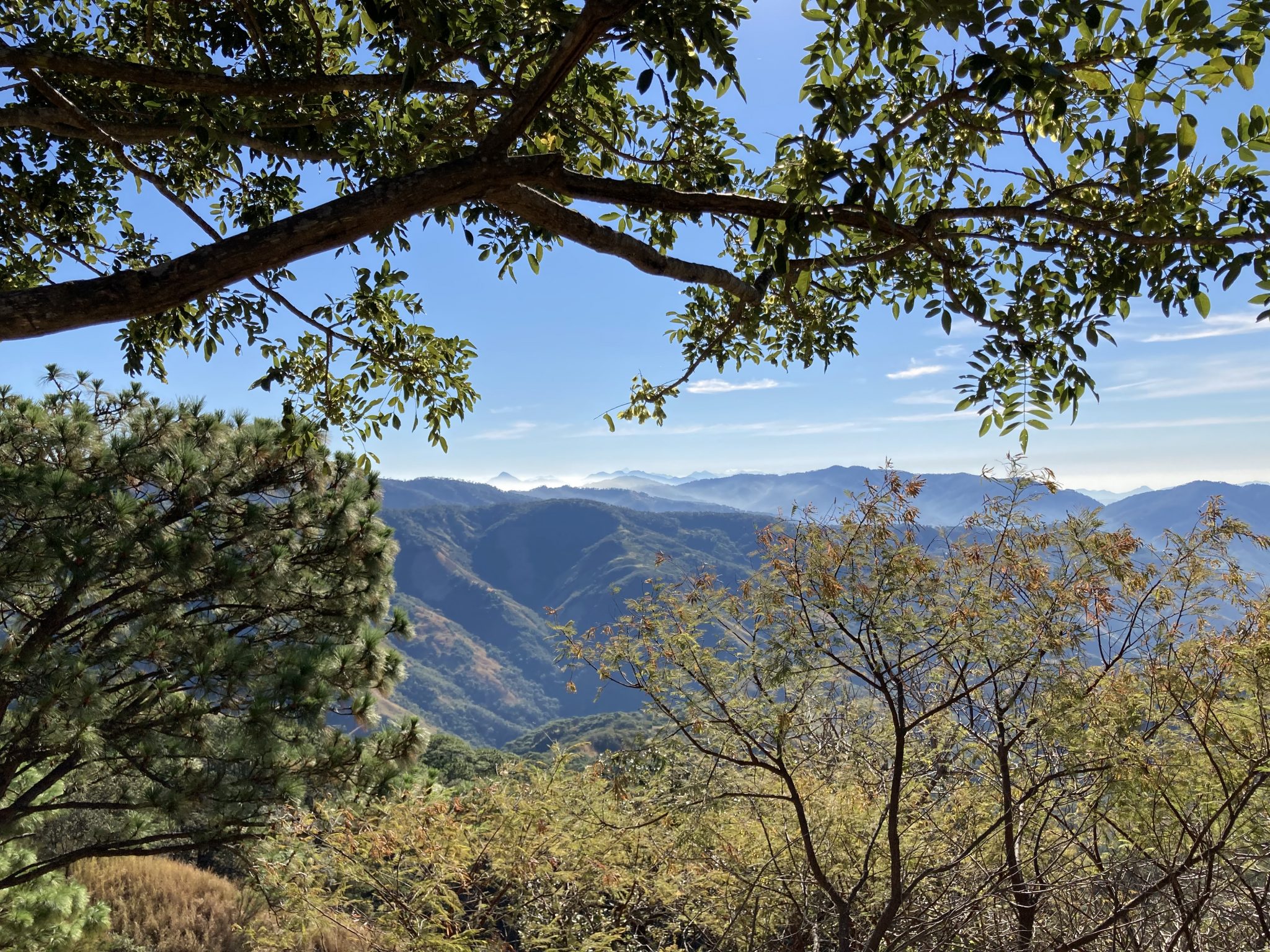 Chimalapas: Haciendo comunidad para salvar un bosque - El Proyecto ...