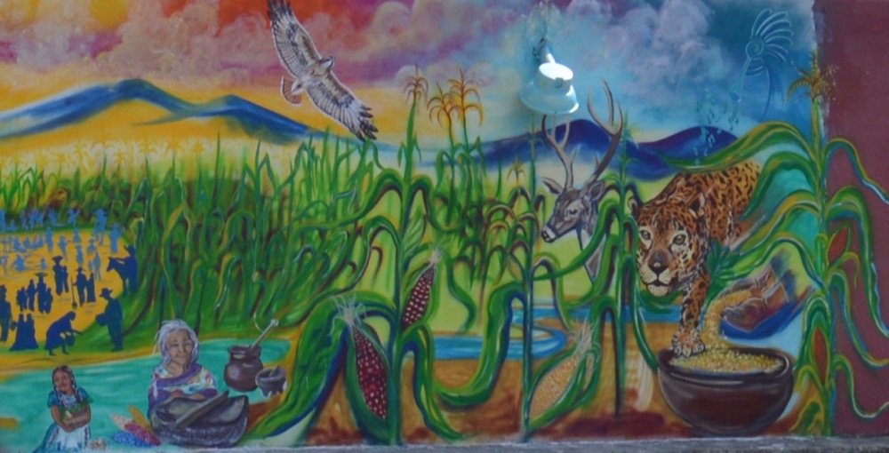 Mural oaxaqueño documenta la lucha por defender el maíz nativo - El ...