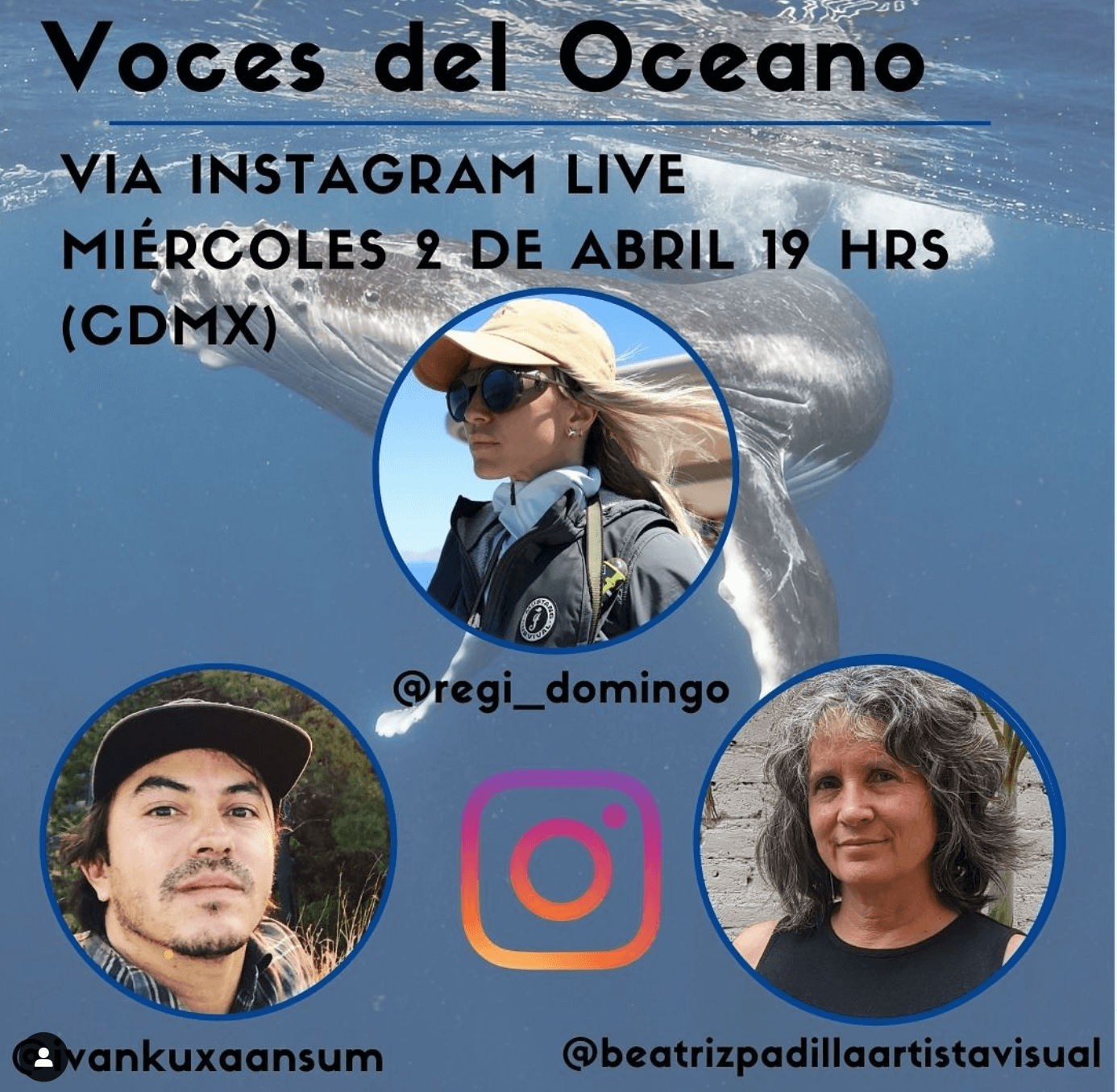 Pintando por las ballenas: Beatriz Padilla y su huelga de 21 días - El ...